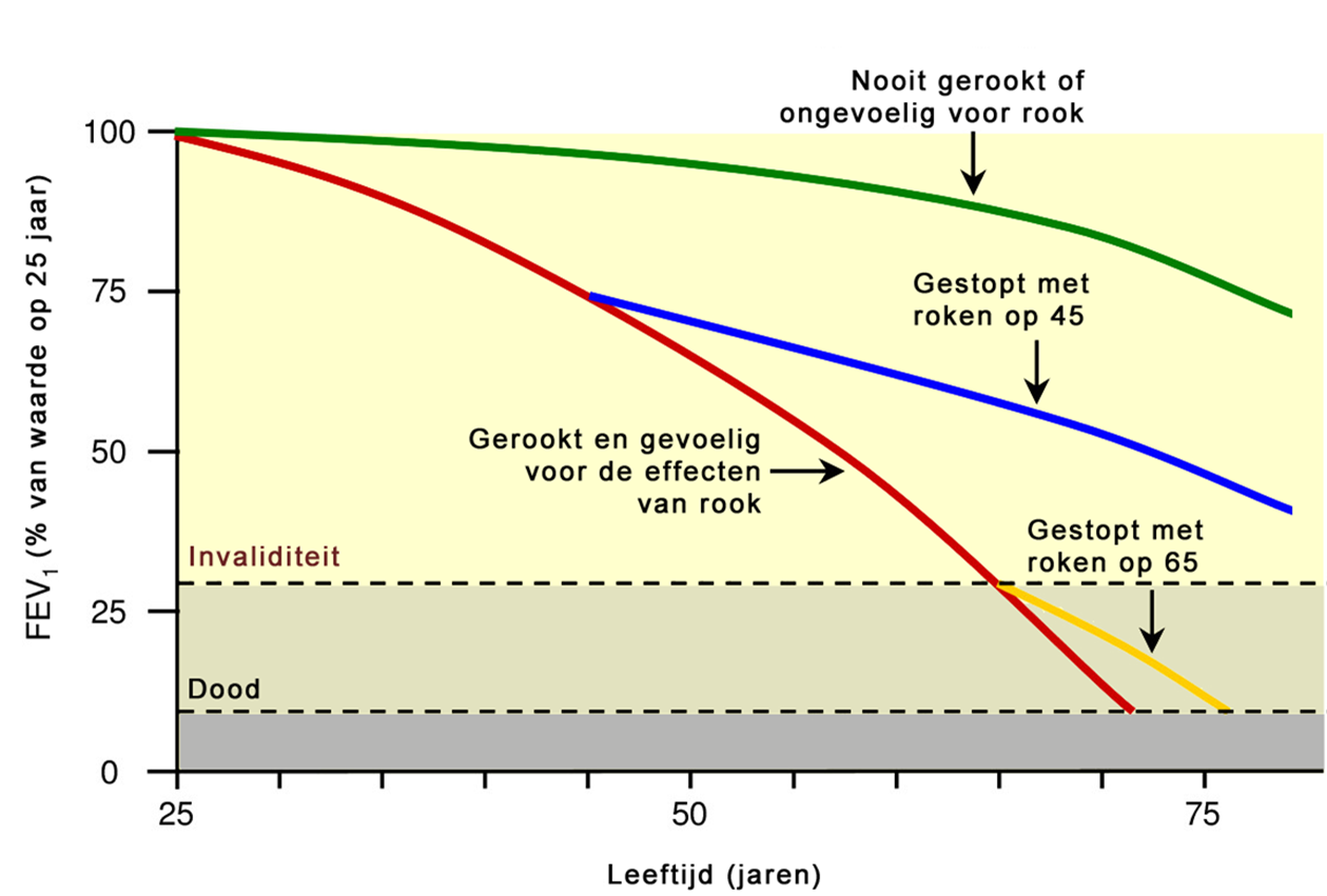 Fletcher Curve - Stoppen met roken hulp, tips en nieuws?